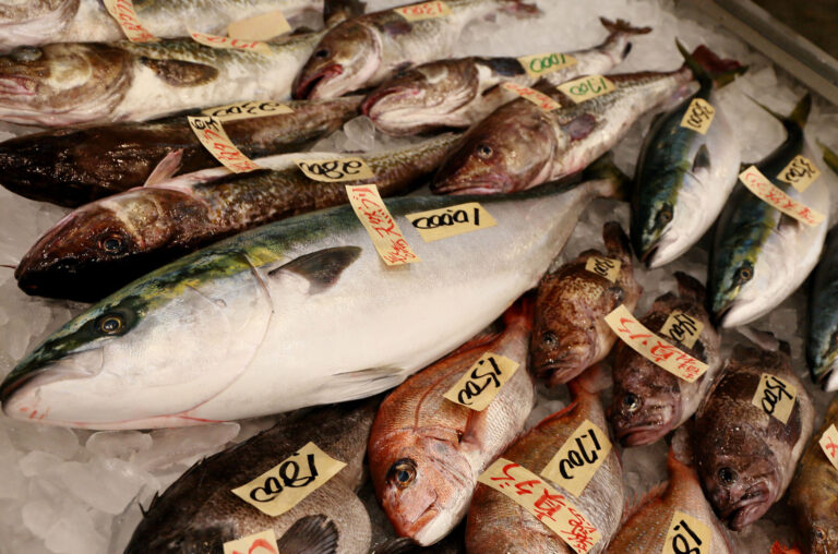 Is the Japanese Fish Buri “Yellowtail” or “Amberjack”? - WAMI JAPAN ...